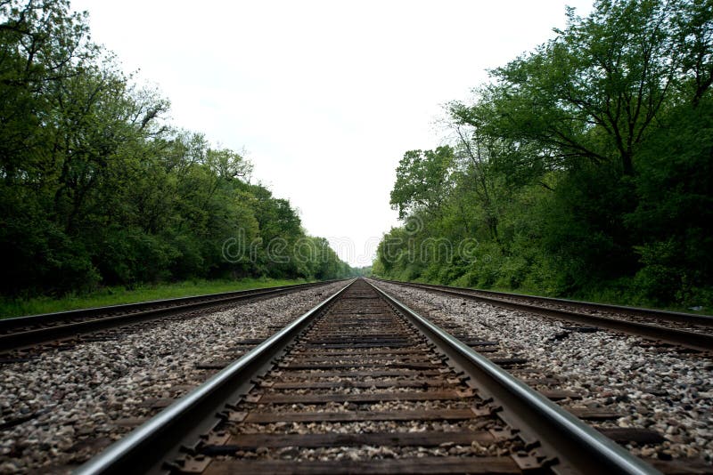 View of the Railroad Tracks with Trees Stock Photo - Image of landscape ...