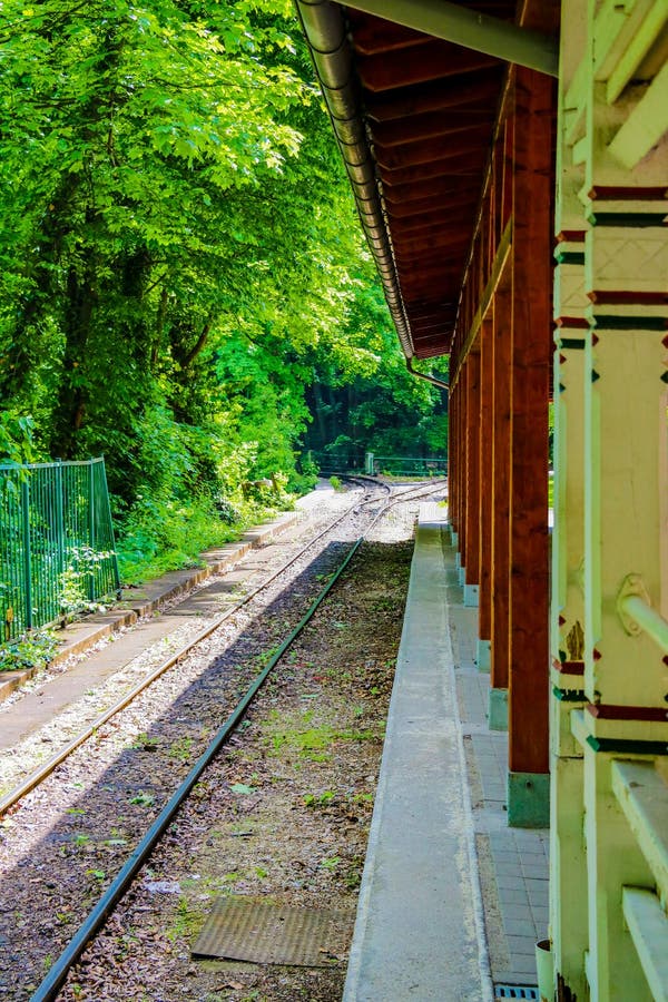 View of the Railway Station Surrounded by Forest Stock Photo - Image of ...