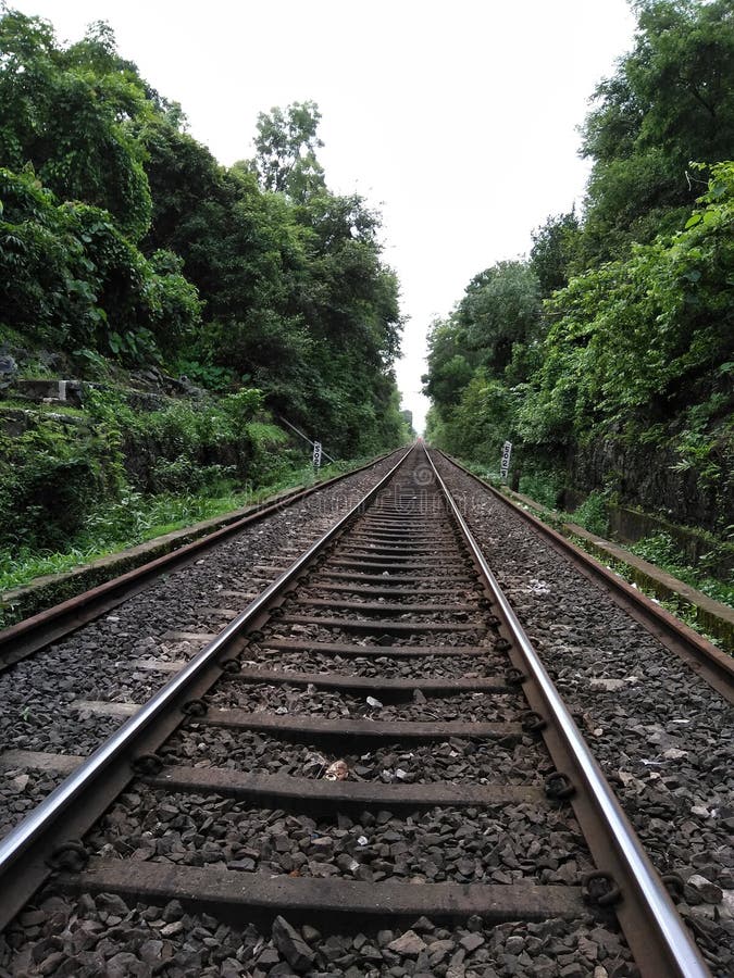 View Railway Track between the Green Trees Stock Image - Image of view ...