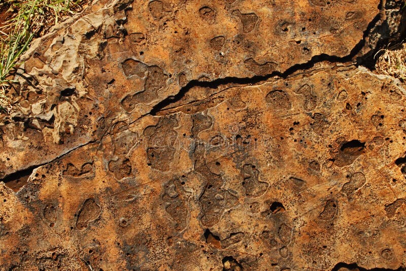 SHALLOW EROSION PATTERN on a FLAT ROCK. Stock Photo - Image of light ...