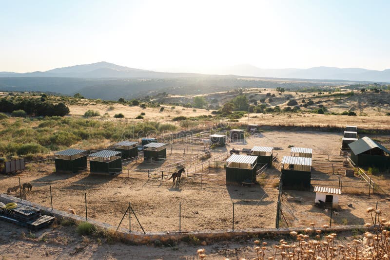 View of a Ranch with Horses. Stock Image - Image of horse, dawn: 226744997