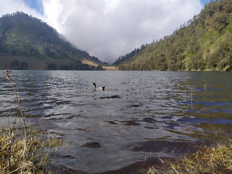 View of ranu kumbolo stock photo. Image of swimming - 263777004
