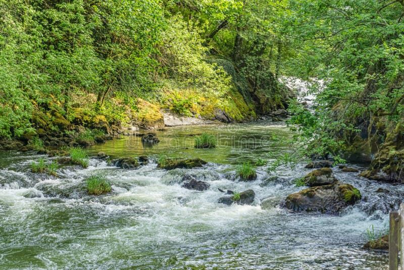 Scenic River Rapids 8 stock photo. Image of flowing - 152651486