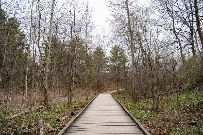 View of Rattray Marsh Conservation Area in Mississauga Stock Image ...