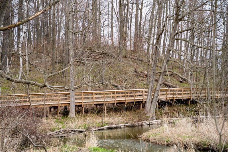 View of Rattray Marsh Conservation Area in Mississauga Stock Image ...
