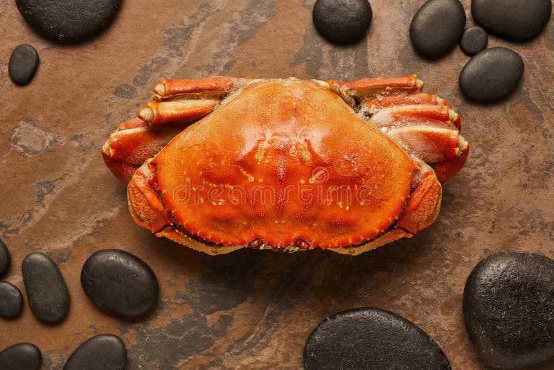 View of Raw Crab with Solid Stock Image - Image of cooled, seafood ...