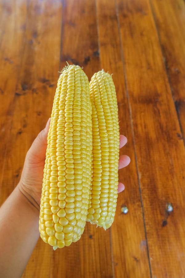 View of the Raw Home Golden Corn Cob on the Table, Selective Focus ...