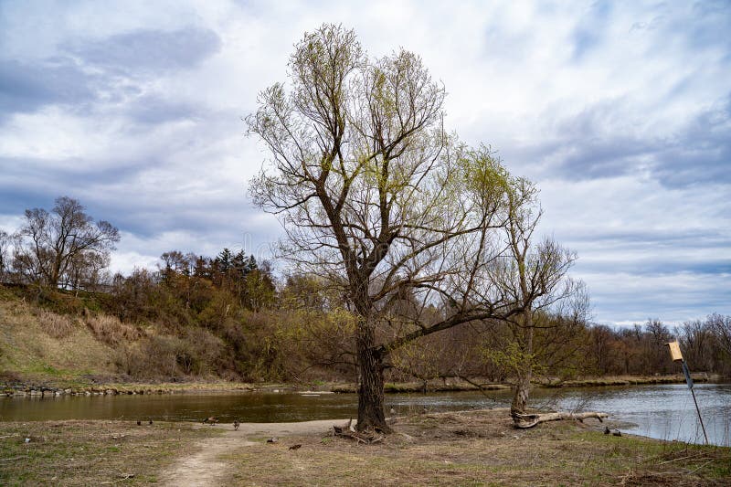 View of Raymore Park in Toronto Stock Image - Image of public ...