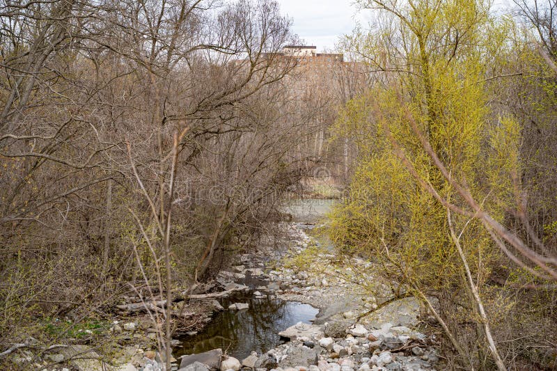View of Raymore Park in Toronto Stock Image - Image of humber, river ...