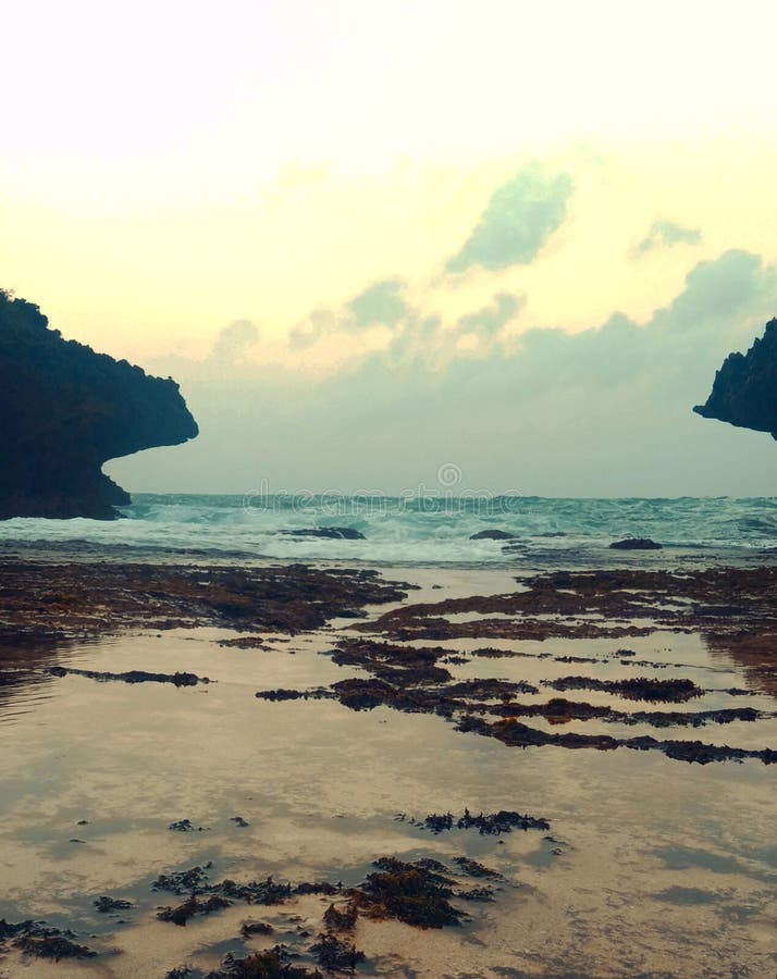 The View of the Receding Sea is Clearly Visible with the Coral that ...