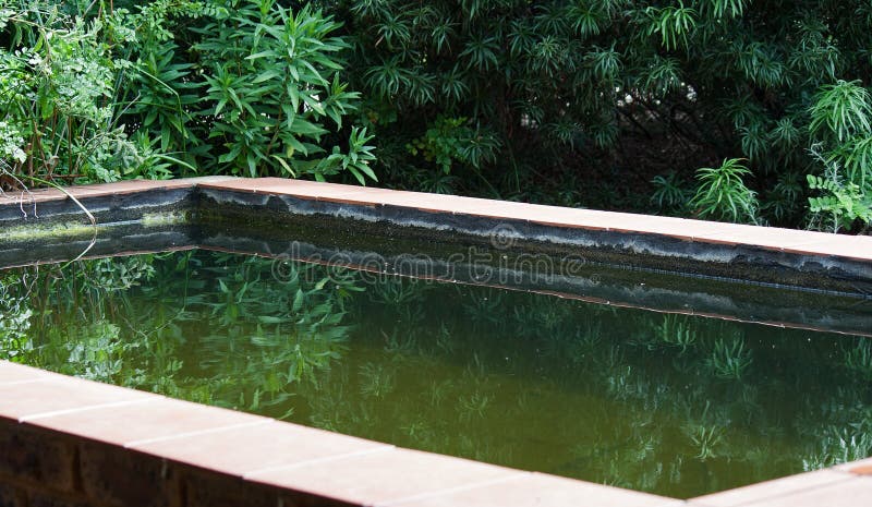 CONCRETE WATER POND at the PRETORIA BOTANICAL GARDENS Stock Image ...