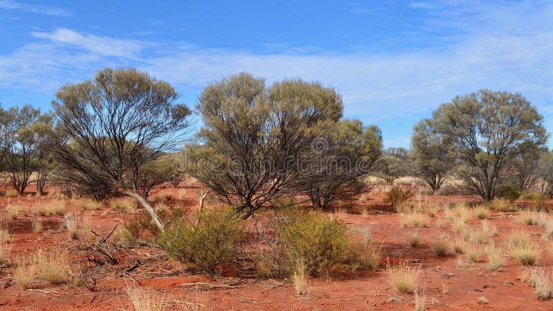 A View of the Red Centre of Australia Editorial Stock Photo - Image of ...