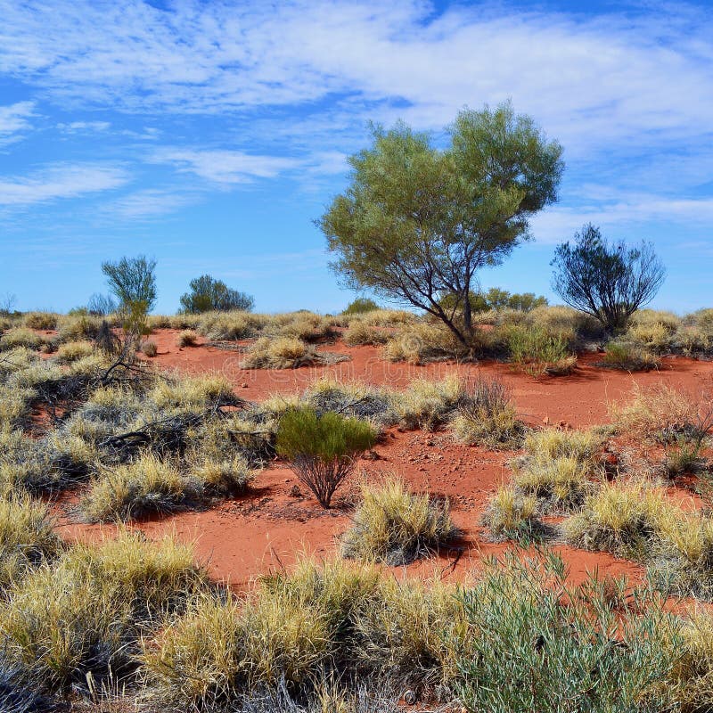 A View of the Red Centre of Australia Editorial Stock Image - Image of ...