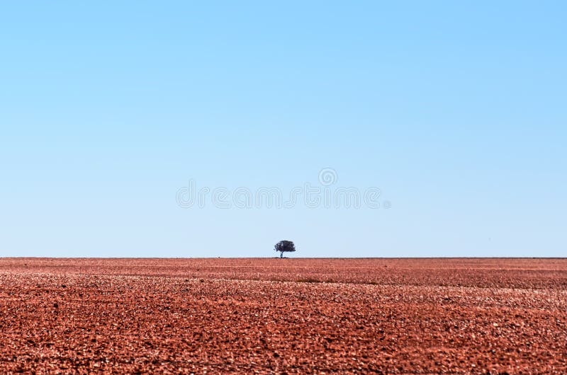 View of the Red Field with a Single Tree in the Distance. Stock Image ...