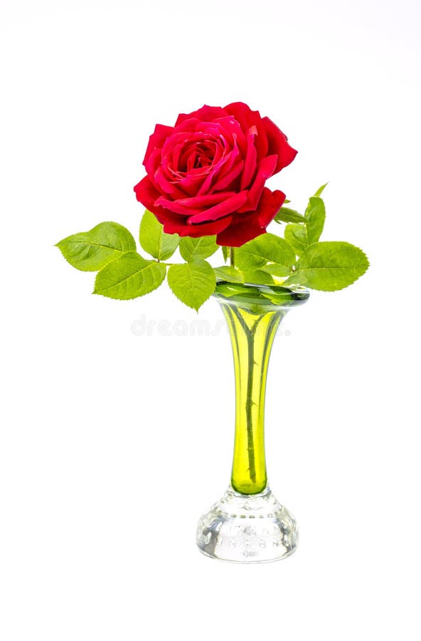 Flower Garden stock image. Image of trees, nature, gardening - 9657247