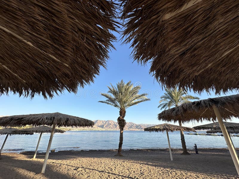View of the Red Sea Beach in Eilat Stock Photo - Image of resort ...