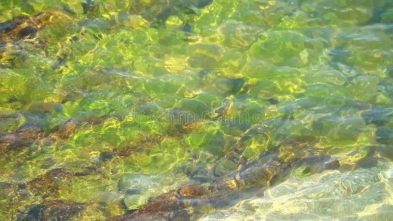 View of Reef Underwater Surface and Reflection Sunlight Stock Video ...