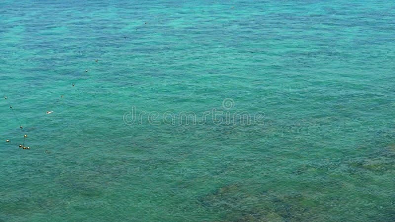View of Reef Underwater Surface of Sea and Reflection Sunlight Stock ...