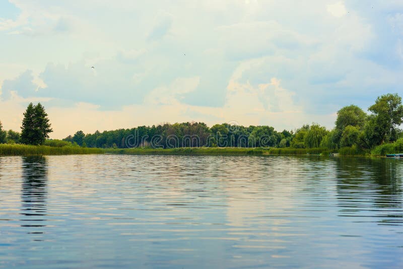 View of the Remote River Bank with Trees on it and a Large Beautiful ...