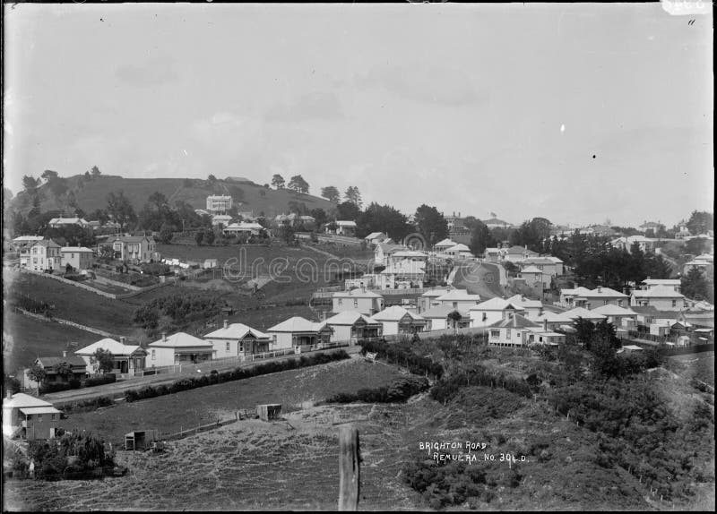 View Of Remuera And Mount Hobson Picture. Image: 222315354