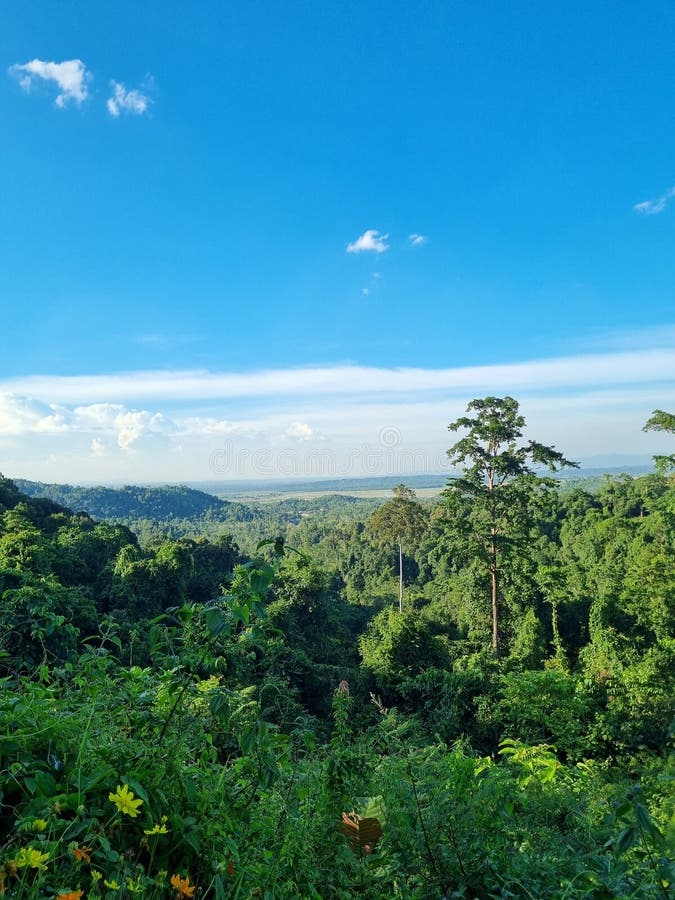 View of Rest Area with Mountain, Rain Forest and Blue Sky Stock Photo ...