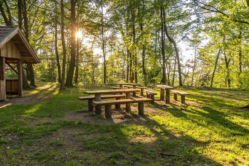 A Resting Place in the Forest Illuminated by the Setting Sun Whose Rays ...