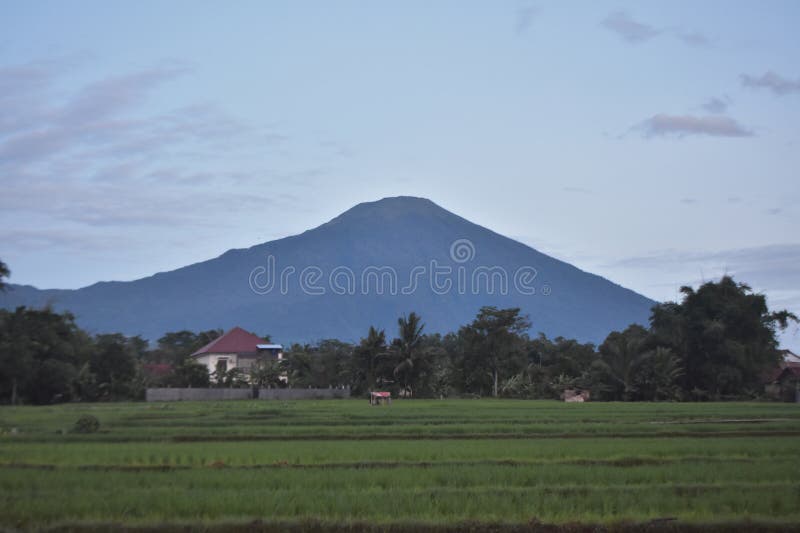 View of Rice Fields and Mount Ciremai in Kuningan at 05:42 am, West ...