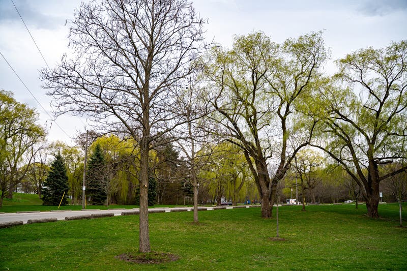 View of Richard S Memorial Park in Mississauga Stock Image - Image of ...