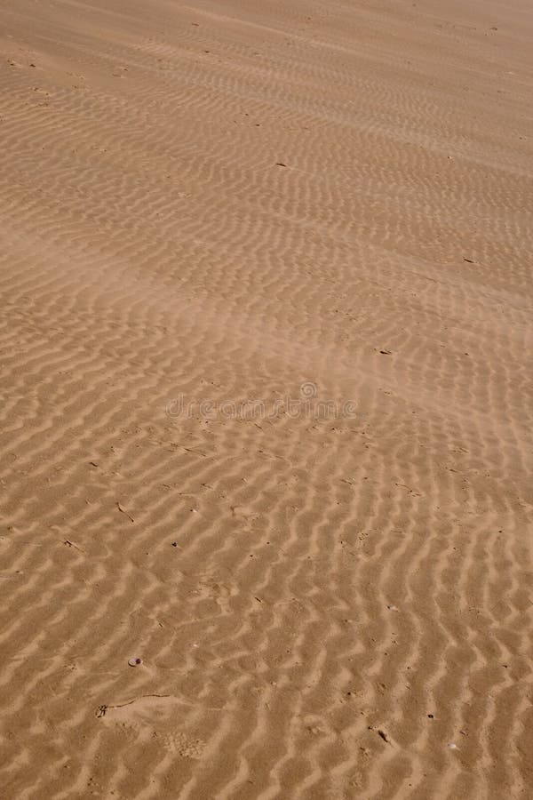 Rippled beach sand stock image. Image of leisure, island - 158242923