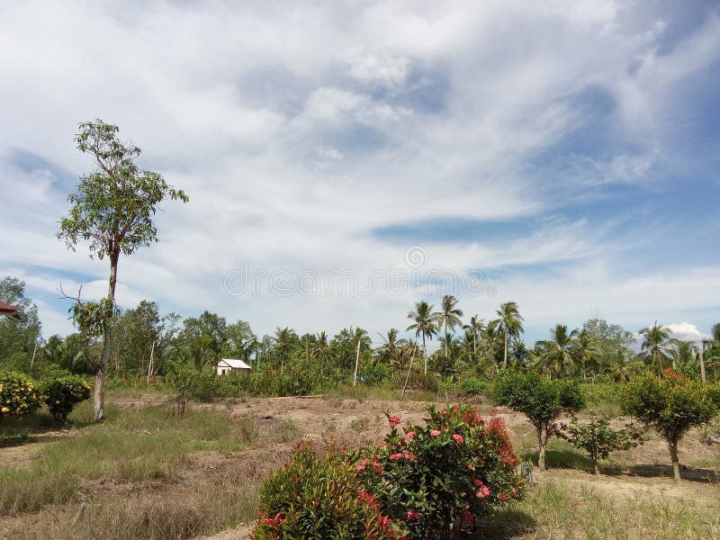 View on the River Bank in Hot Weather Another Corner Stock Image ...