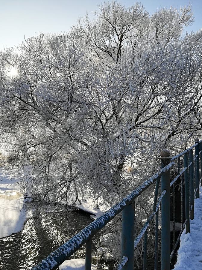 View of the River from the Bridge in Winter. Snow Covered Trees Stock ...