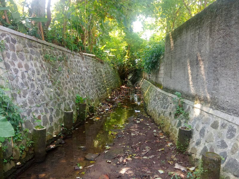 View of River in the Country Side of Indonesian Country Stock Photo ...