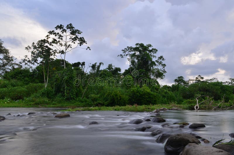 View of a River in a Countryside Stock Image - Image of rice, flat ...