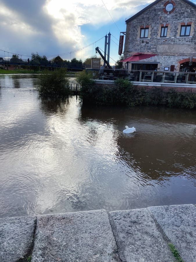 View of the River Exe in Devon England Stock Image - Image of river ...