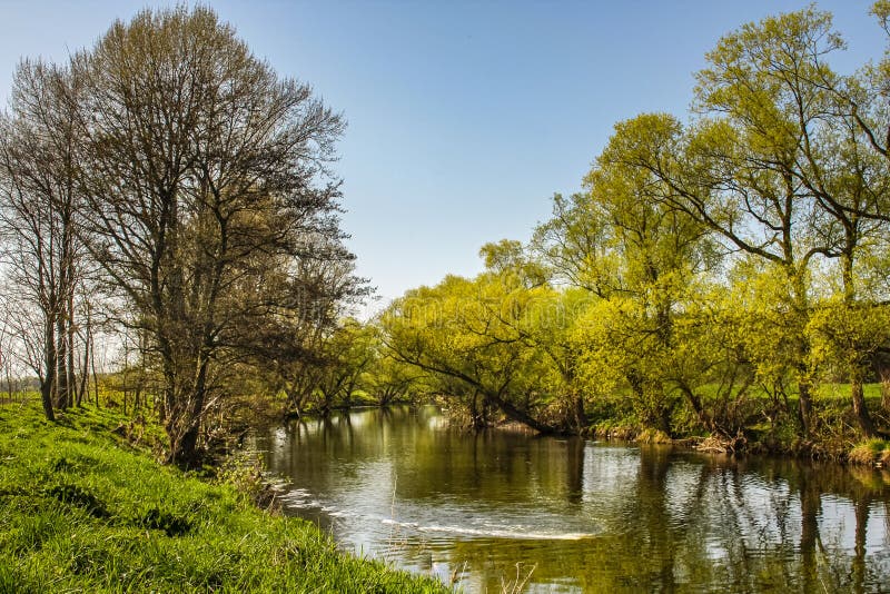 A View of a River Floodplain. Stock Photo - Image of plain, tree: 268141804