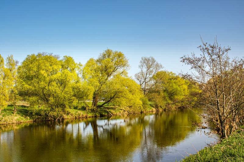 A View of a River Floodplain Stock Image - Image of trees, floodplain ...