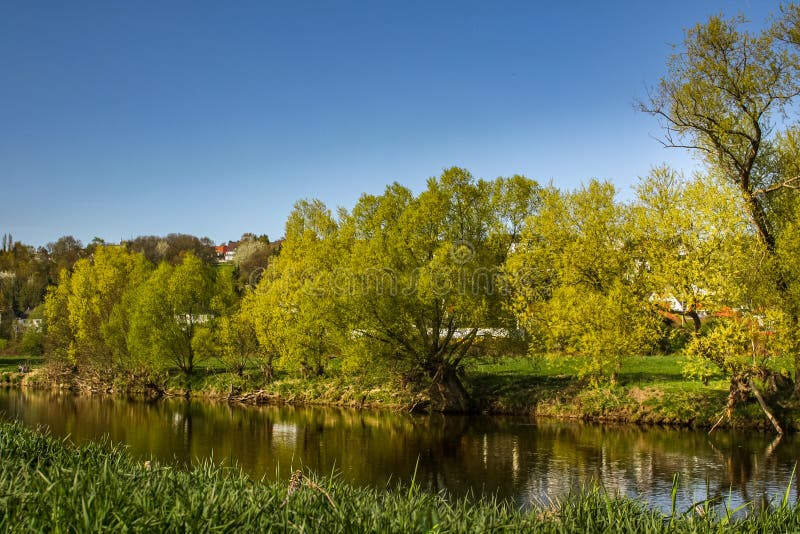 A View of a River Floodplain. Stock Image - Image of river, lacustrine ...