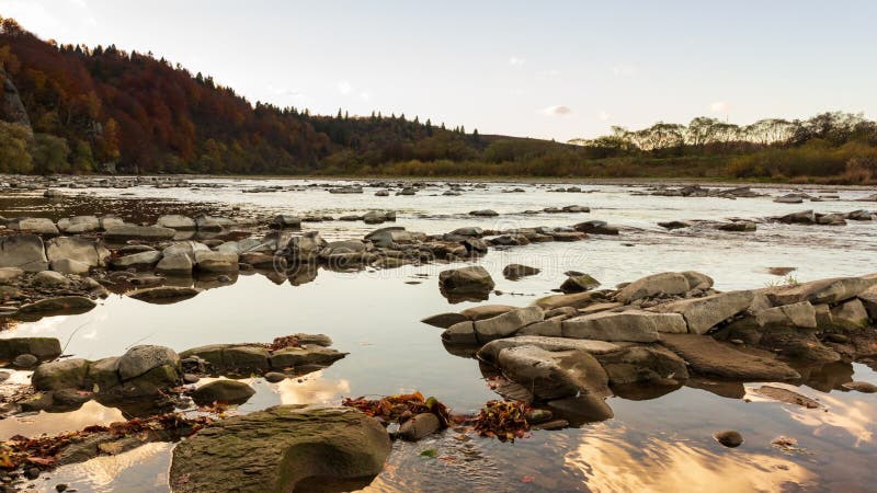 View of the River Flowing from the Mountain Waterfall. Forest River in ...