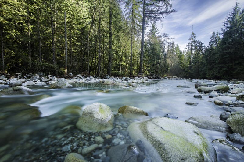 View of the River in the Forest. Vancouver Island, British Columbia ...