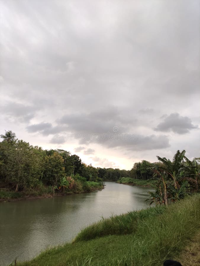 View of the River with Green Vegetation on the Banks Stock Photo ...