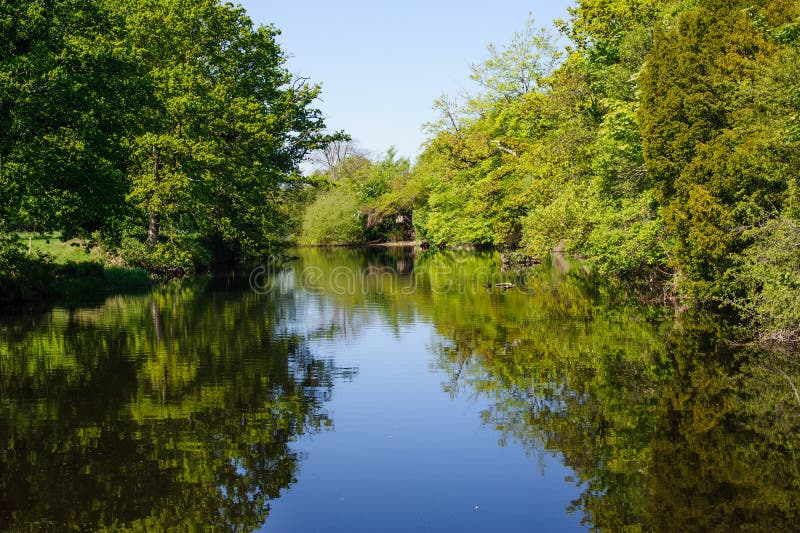 View on the river Liffey stock photo. Image of lake, foliage - 92359730