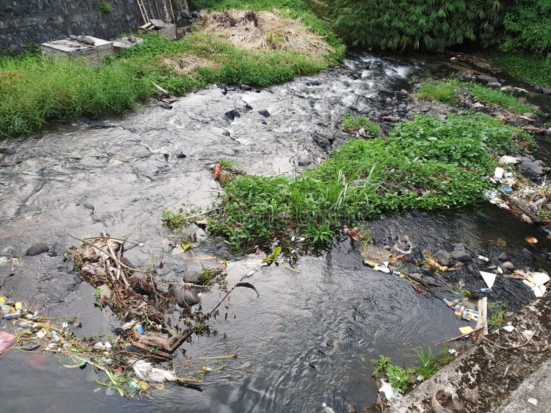 Littered river stock photo. Image of clutter, junk, green - 9062950