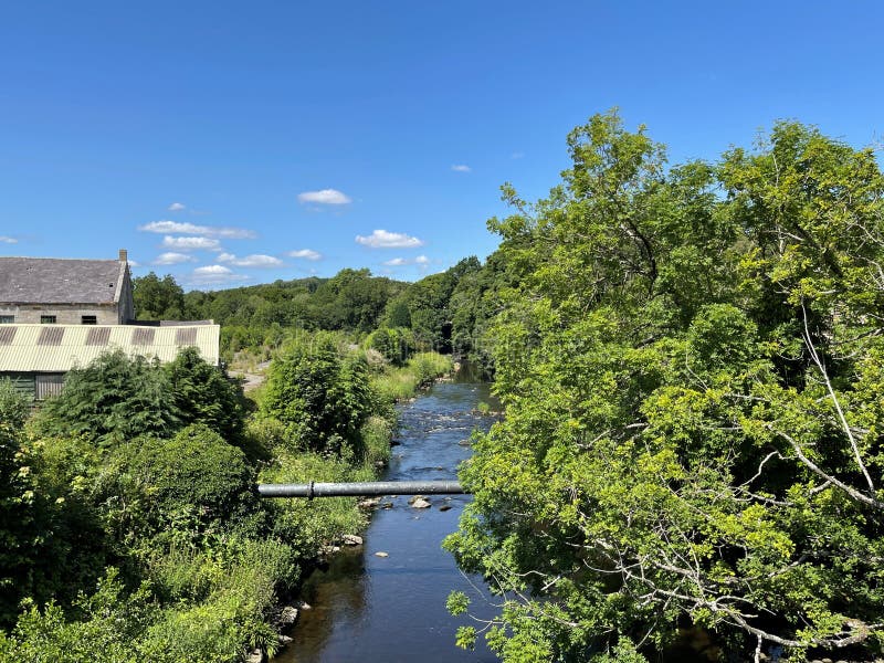 River Nidd, Near Dacre Banks, Harrogate, UK Stock Image - Image of ...