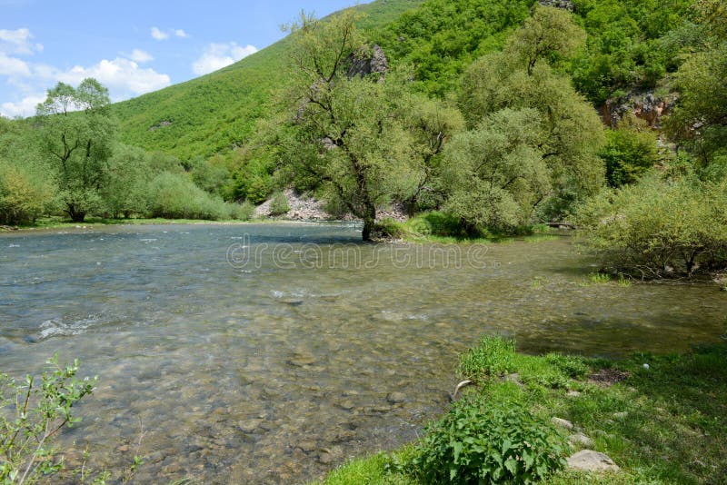 View at the River Over Lake Debar on North Macedonia Stock Image ...