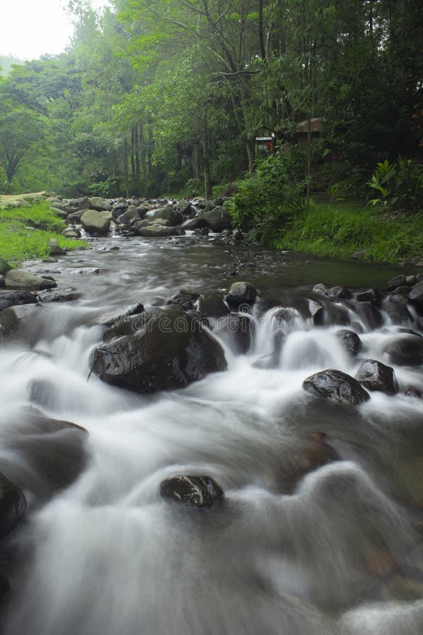 View of the River and Rocks Stock Photo - Image of life, mountain ...