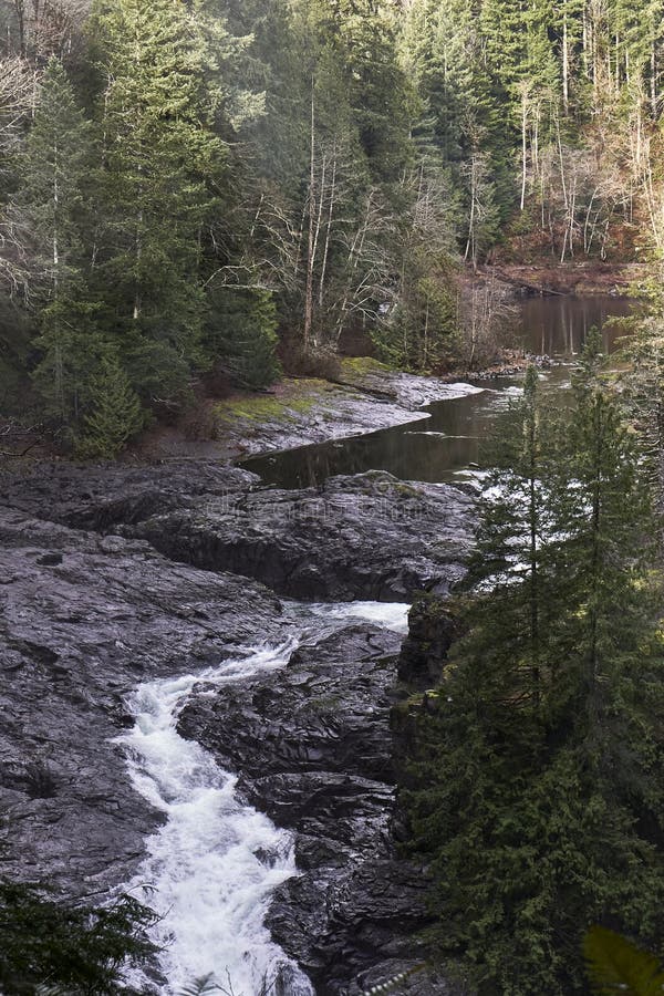 View of the Top of Elk Falls As the River Rushes through the Flat Brown ...