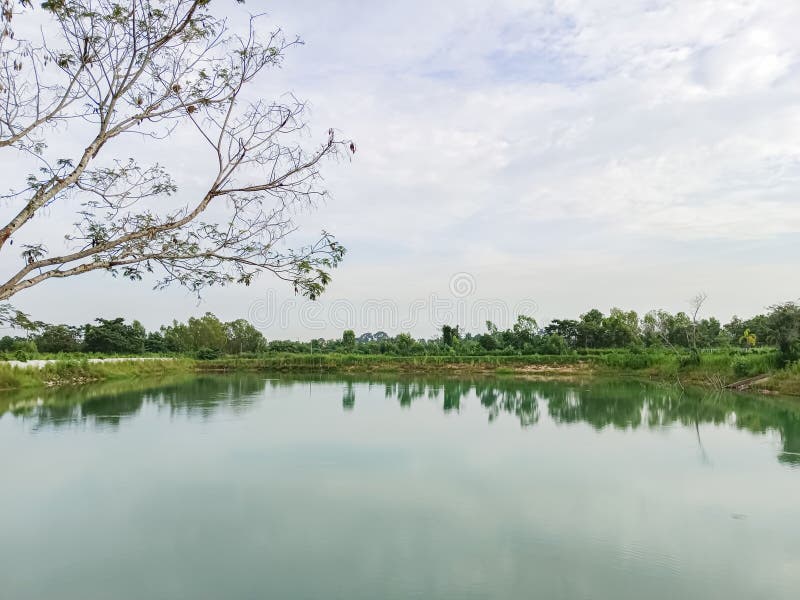 View of the River and the Sky with the Branches Falling Down Low, the ...