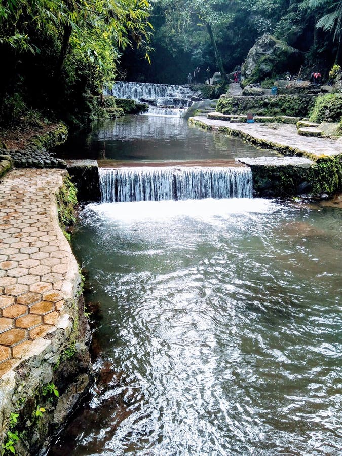 View of a River with a Small Flowing Waterfall Surrounded by Lush ...