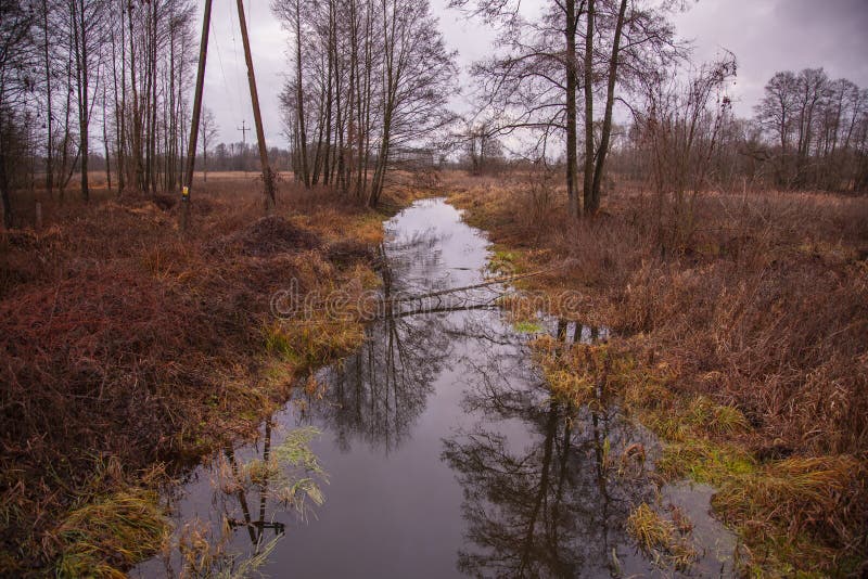 View of the River during Snowless Winter Stock Photo - Image of forest ...