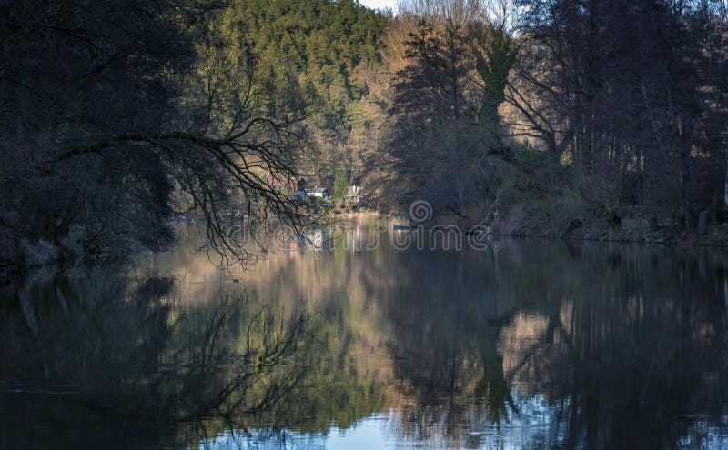 View of the River Surface with Trees Reflecting Stock Image - Image of ...